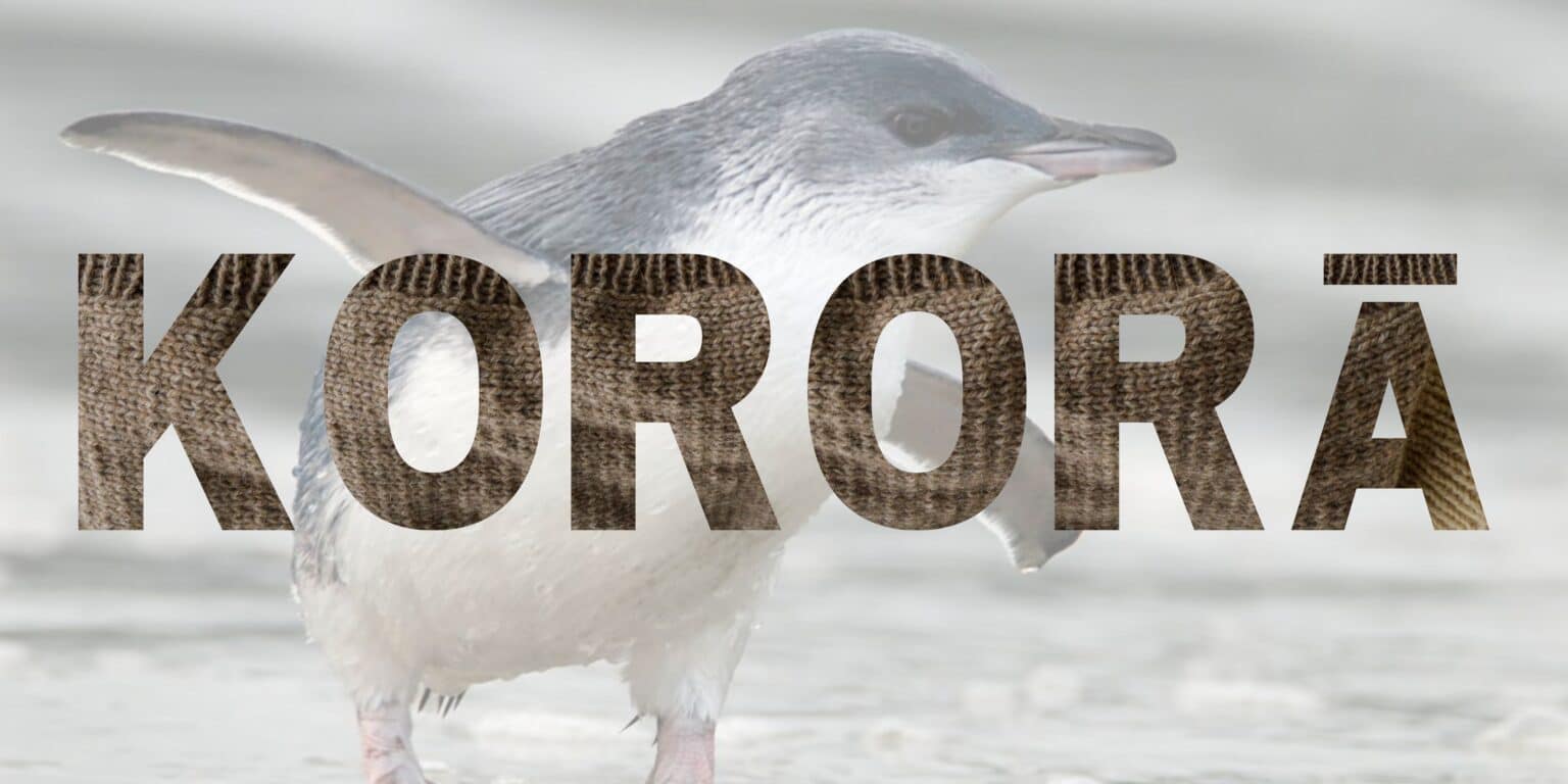 Patterns & Designs | Zealana