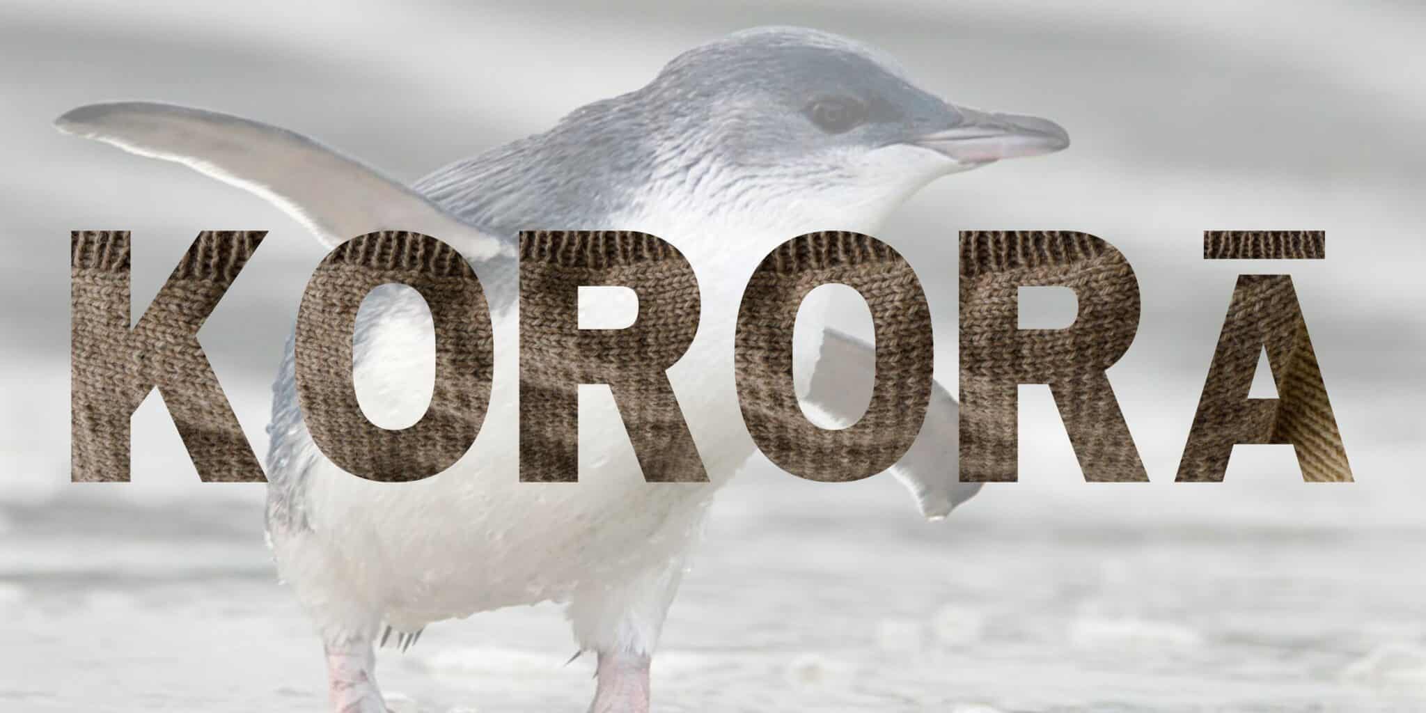 Free June Pattern: Kororā Hood | Zealana